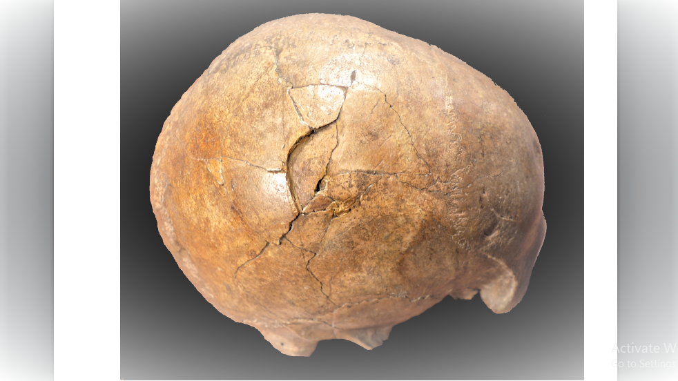 Forensic Method solves Stone Age murder mystery after 33,000 years ...