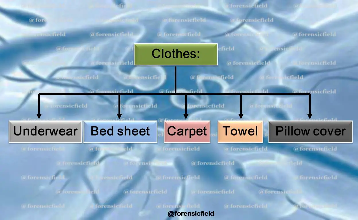 Seminal fluid Analysis in forensics - Forensic's blog