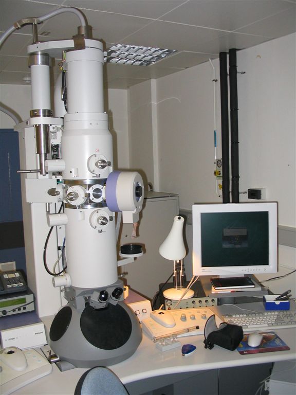Electron Microscopy - Forensic's blog