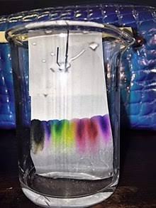 Chromatography - Forensic's blog