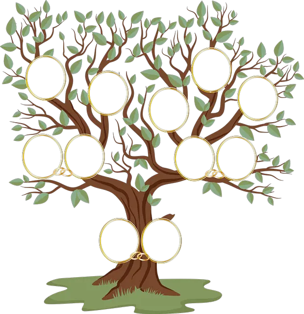 Unlocking the Past: The Power of Forensic Genealogy in Modern Crime ...